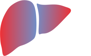 DILIsym® - Drug-induced liver injury (DILI) modeling software