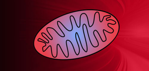 Software Products - Simulations Plus