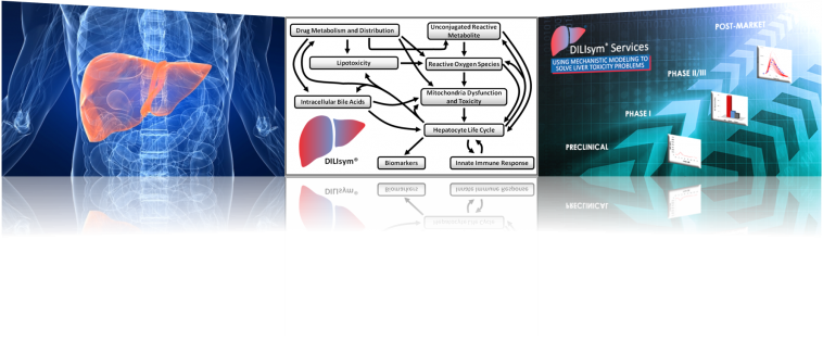 Reactive Nitrogen/Oxygen Species - Simulations Plus