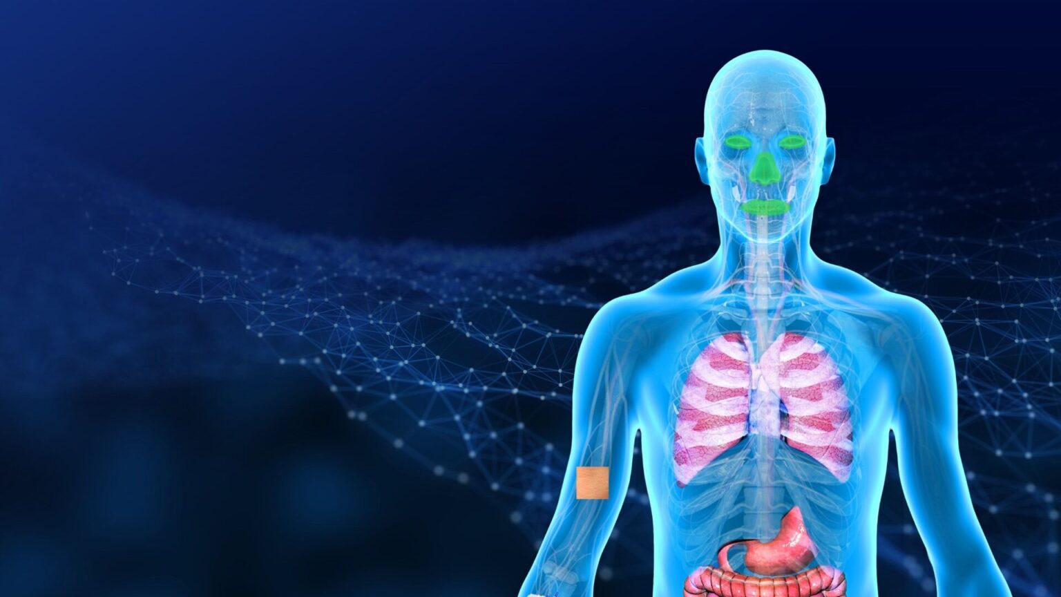 MonolixSuite™ - Simulations Plus Pharmacometrics analysis