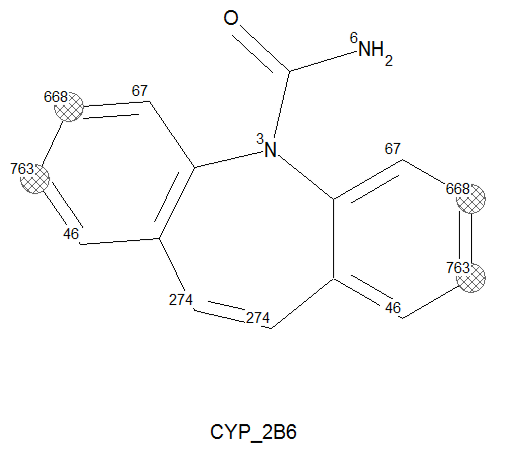 CYP metabolite prediction | CYP kinetic parameters | CYP inhibition | UGT