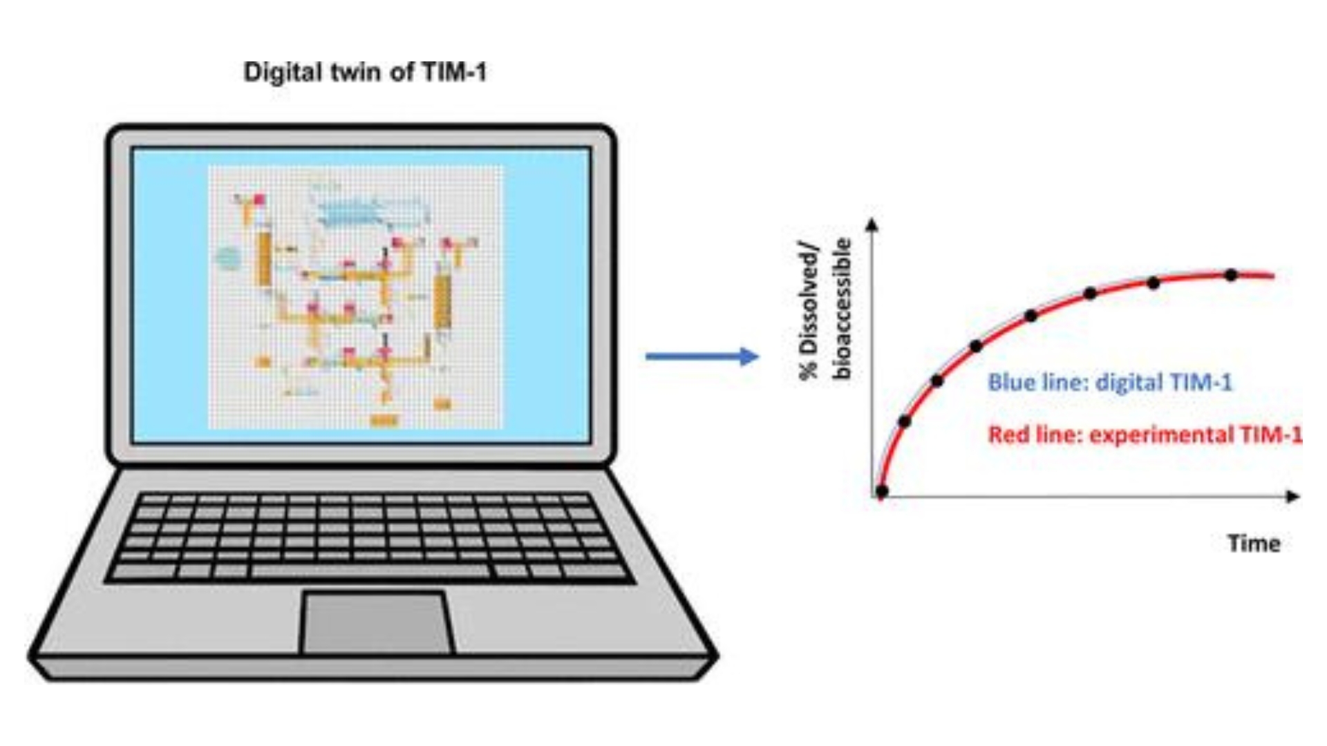 Digitalizing the TIM-1 Model Using Computational Approaches─Part Two ...
