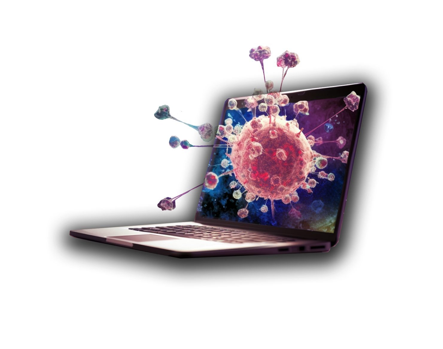 QSP Software - Simulations Plus