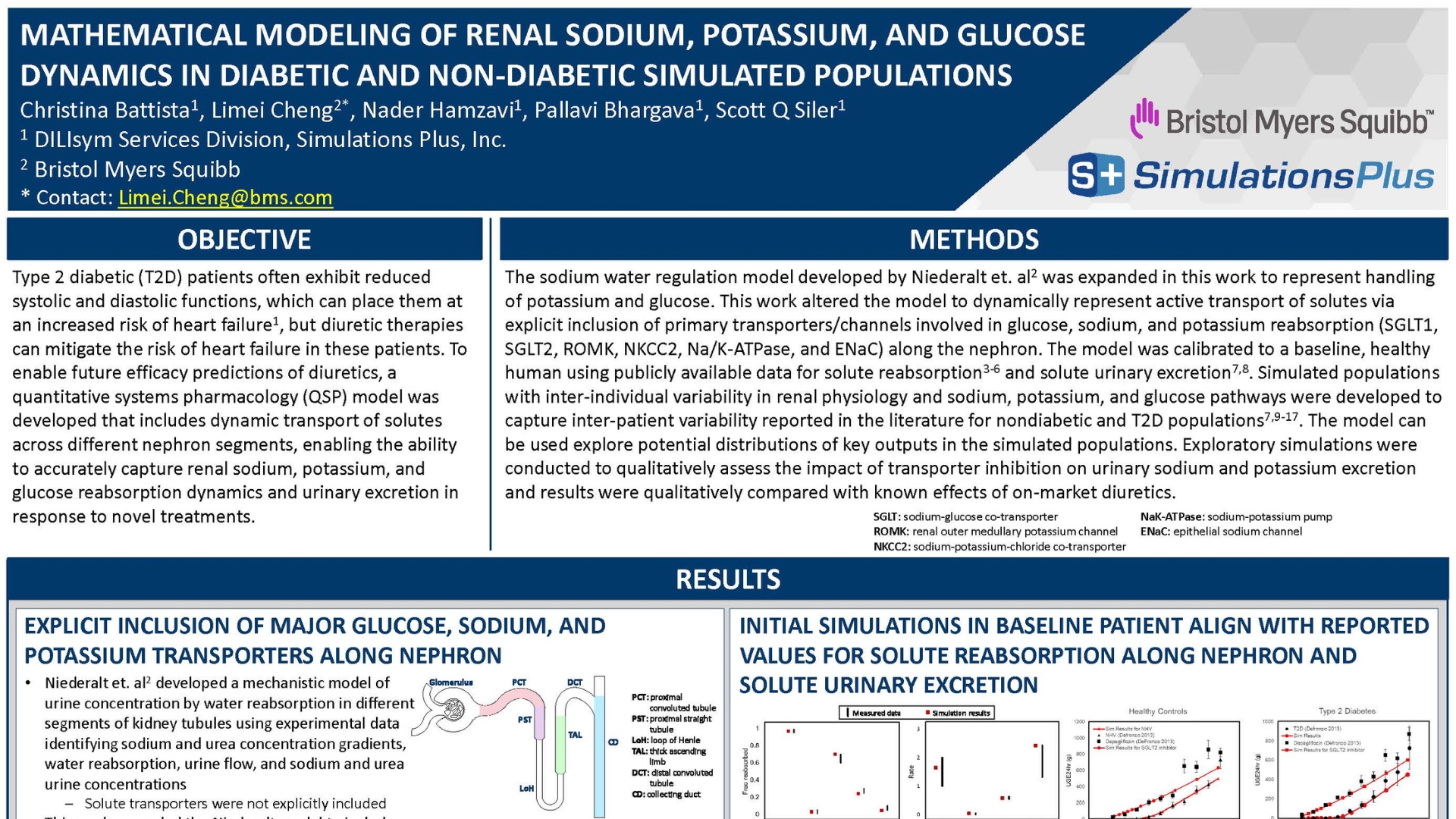 Mathematical Modeling of Renal Sodium, Potassium, and Glucose Dynamics ...