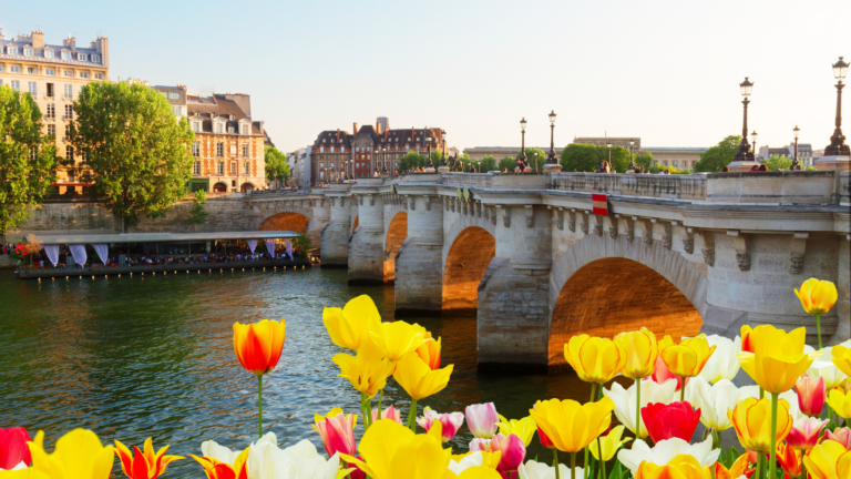 Simulations Plus | Modeling & Simulation Software