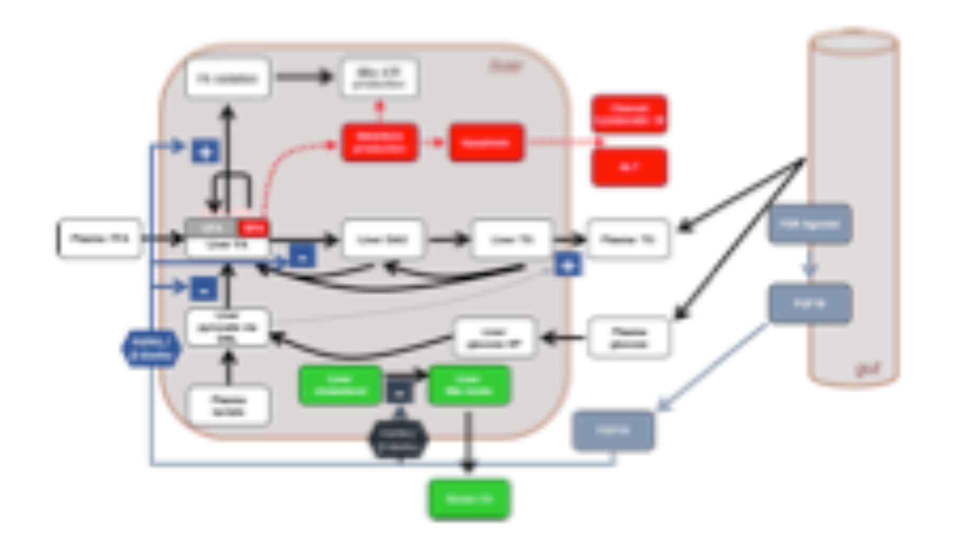 Quantitative Systems Pharmacology Modeling of FGF19 Pathway Using NAFLDsym Prospectively ...