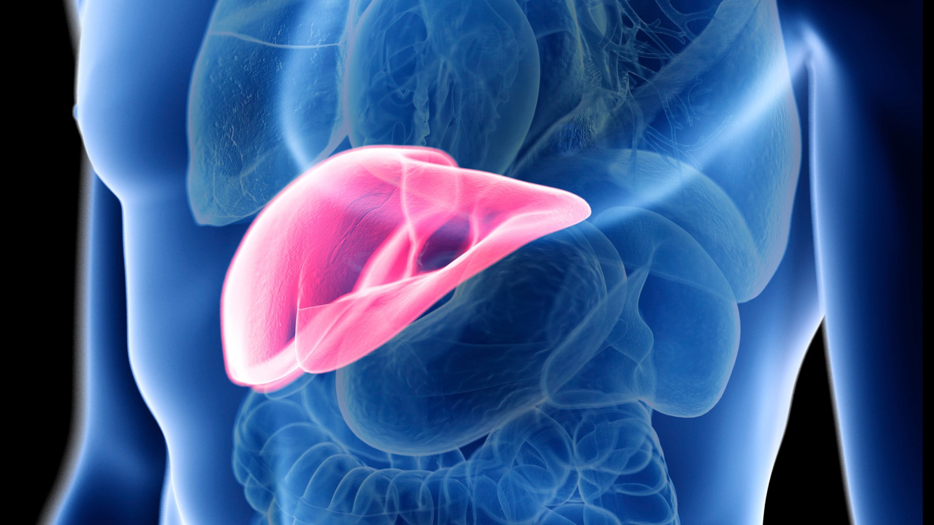 Quercetin-encapsulated magnetoliposomes: Fabrication, optimization, characterization, and ...