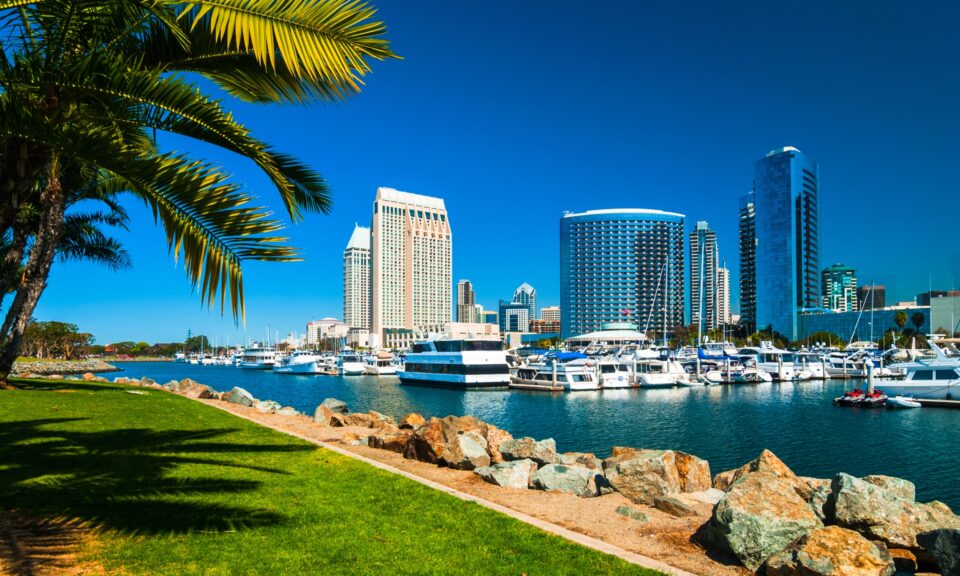 Simulations Plus | Modeling & Simulation Software