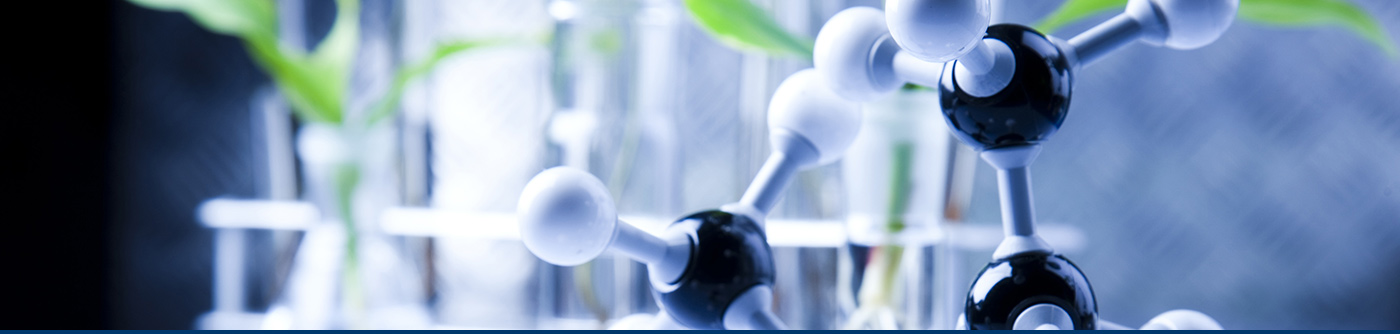 toxicity and exposure modeling | toxicokinetics | PBTK