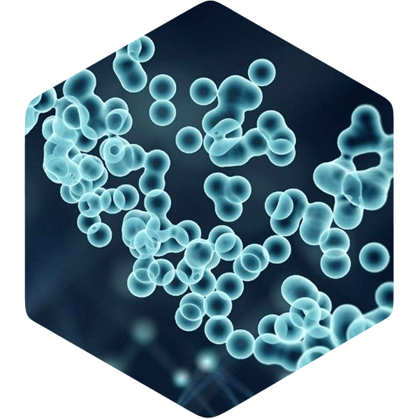 Concierge Program - Simulations Plus