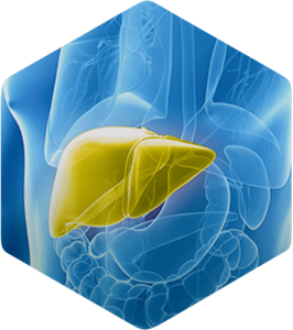 NAFLDsym® - Simulations Plus Nonalcoholic Fatty Liver Disease (NAFLD)